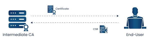 Root Certificates - Root vs Intermediate Certificates