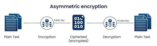 What Are Encryption Protocols And How Do They Work?