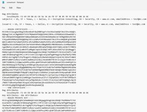 Seamless Conversion of PFX files into PEM files using OpenSSL