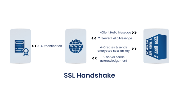 What is an SSL certificate and Why is it important? | Encryption Consulting