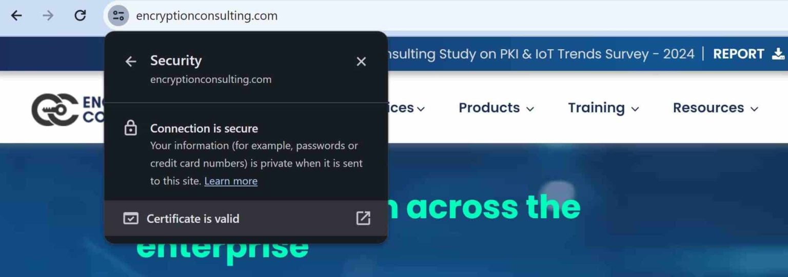 What is PKI (Public Key Infrastructure) | How Does It Work