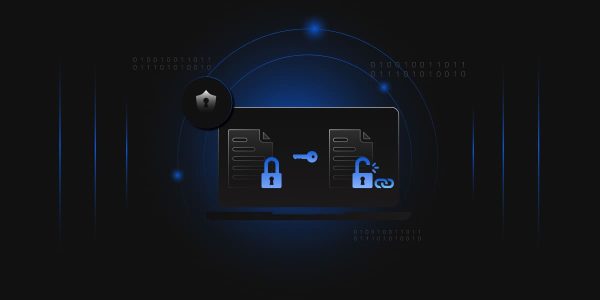 What is Decryption? - Learn More | Encryption Consulting