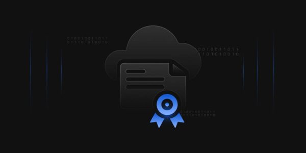 What are Digital Certificates? | Encryption Consulting