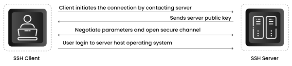 Everything You Need to Know About SSH | Encryption Consulting