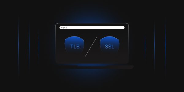 From Handshake to Renewal: A Practical Guide to SSL/TLS Certificates ...