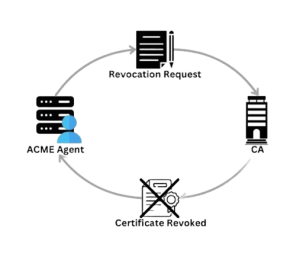 What is ACME Protocol: How It Works | Encryption Consulting