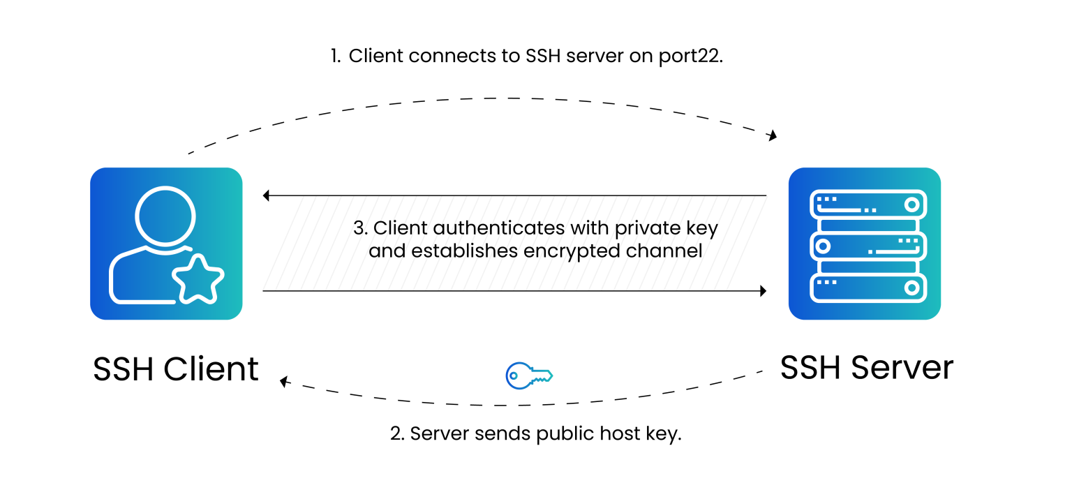 Understanding Passwordless SSH Authentication | Encryption Consulting